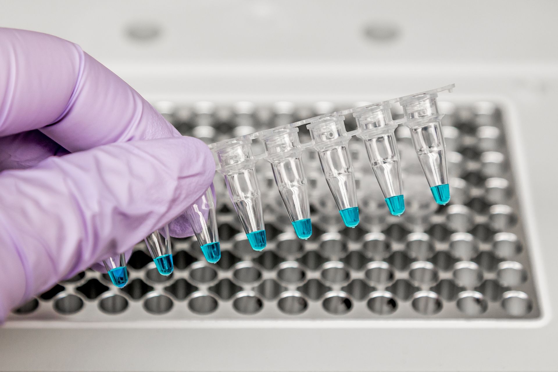 Genomics | Darwin Science | Molecular Biology PCR Reagents