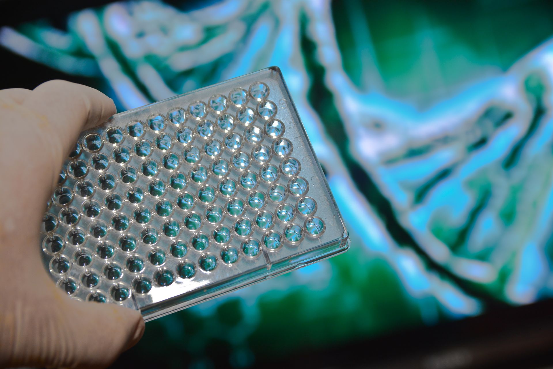 Genomics | Darwin Science | Molecular Biology PCR Reagents